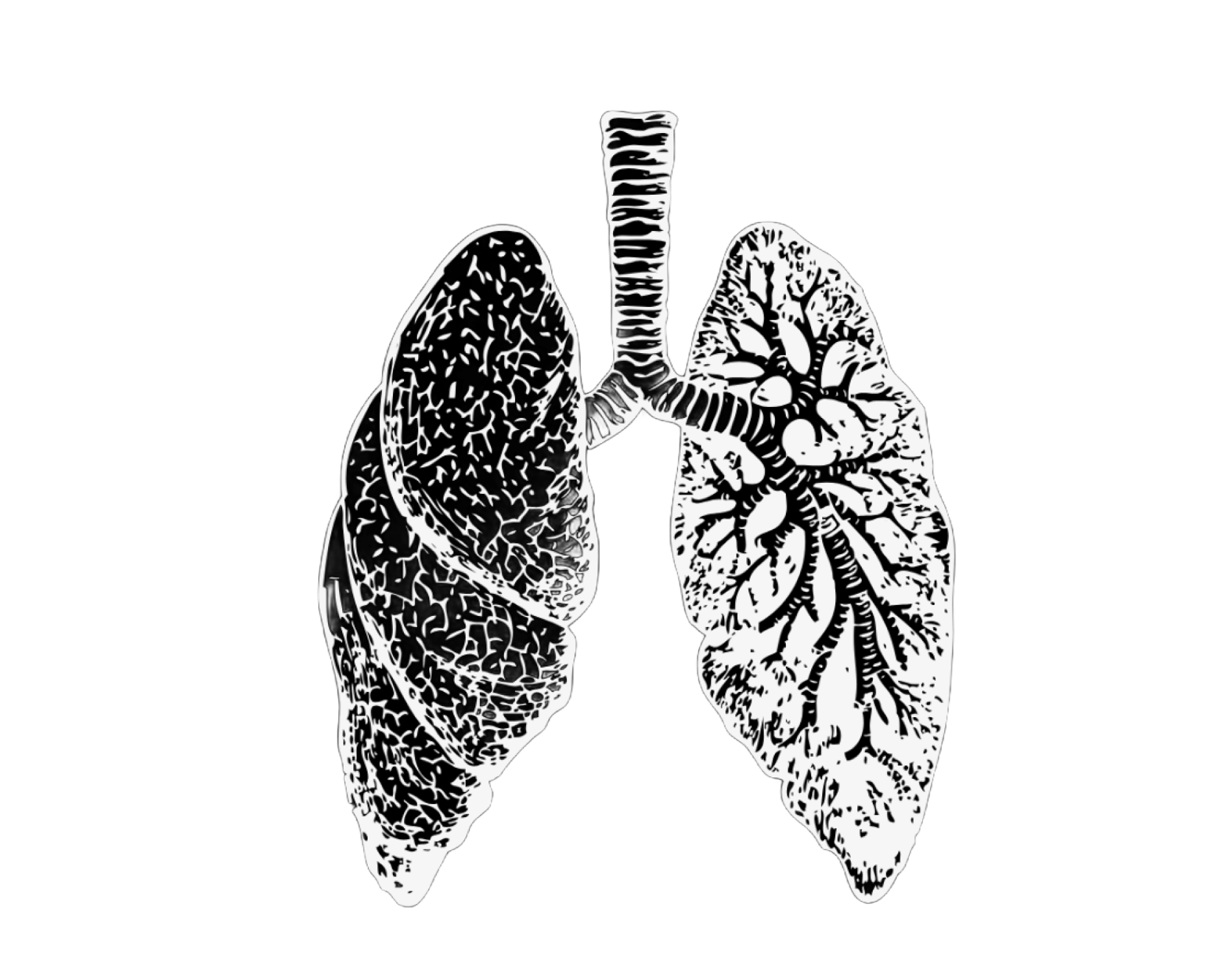 What Is 9D Breathwork? | How It Works, Benefits & The Science