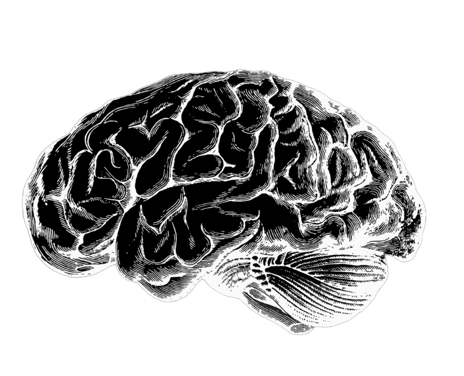 What Is 9D Breathwork? | How It Works, Benefits & The Science